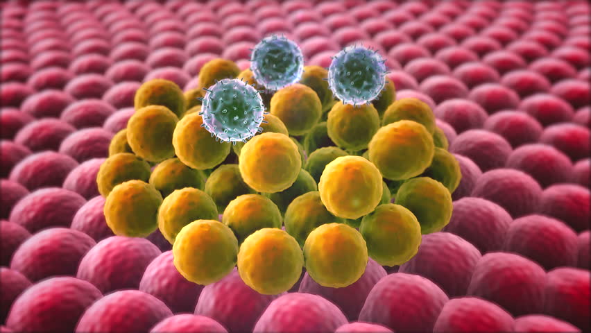 celledeling mikroskopisk bilde av celler 3d Arkivvideomateriale (100 % ...