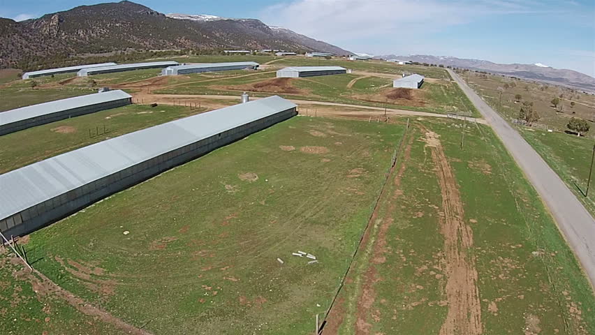 Aerial Rural Turkey Farm Growing Stock Footage Video (100% Royalty-free ...