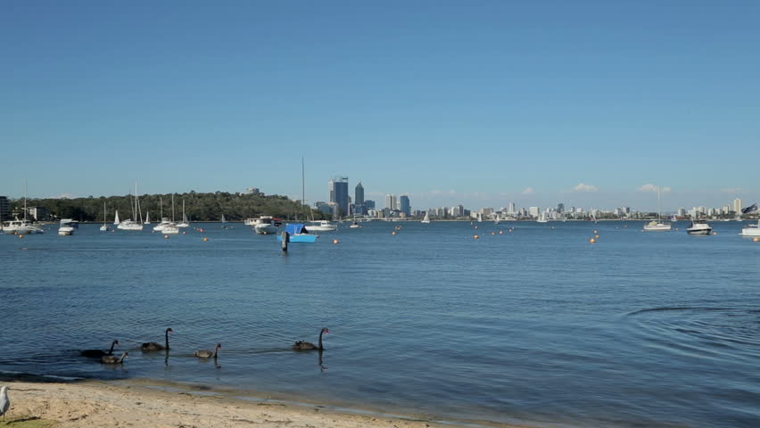 Matilda Bay in Perth, Australia image - Free stock photo - Public ...