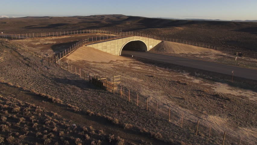 Cattle Bridge Over Roadway, Aerial Stock Footage Video (100% Royalty ...