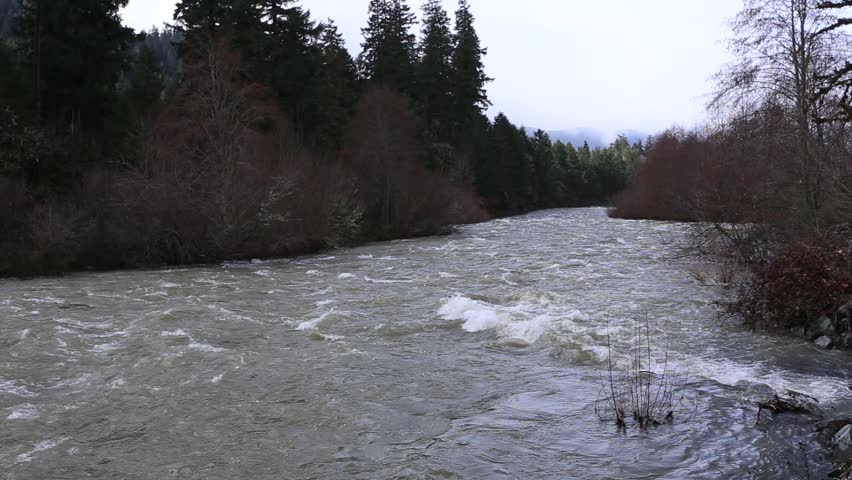 willamette river very high water flows Stock Footage Video (100% ...
