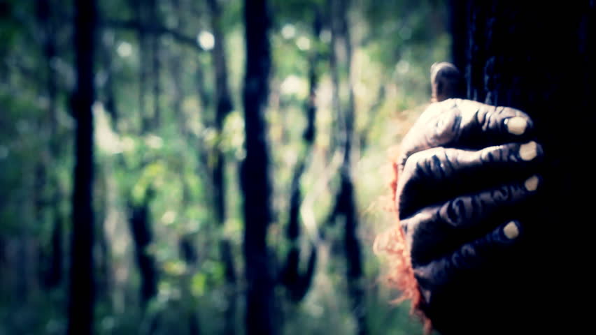 Yeti Hand Stock Video Footage - 4K and HD Video Clips | Shutterstock