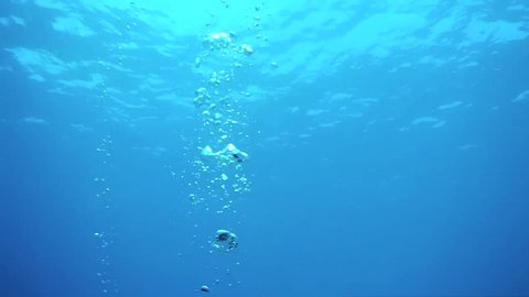 Scuba Diving Bubbles Underwater Video Stock Footage Video (100% Royalty ...