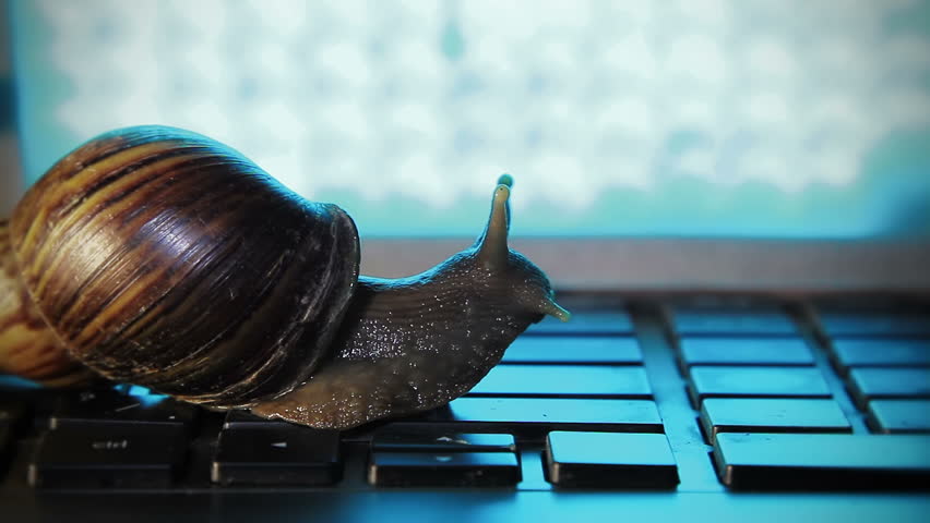 Snail laptop Stock Video Footage - 4K and HD Video Clips | Shutterstock
