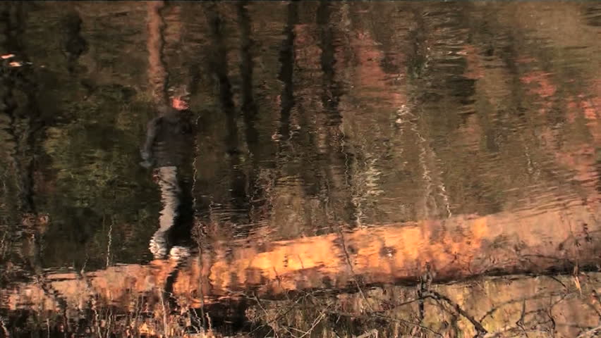 Man Walks Across Log Over Stock Footage Video (100% Royalty-free ...