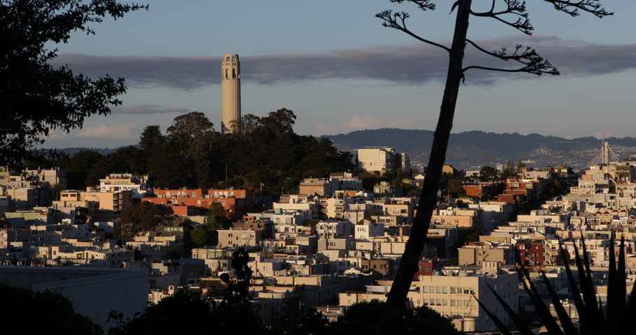 Aerial View Sunset Coit Tower Stock Footage Video (100% Royalty-free ...