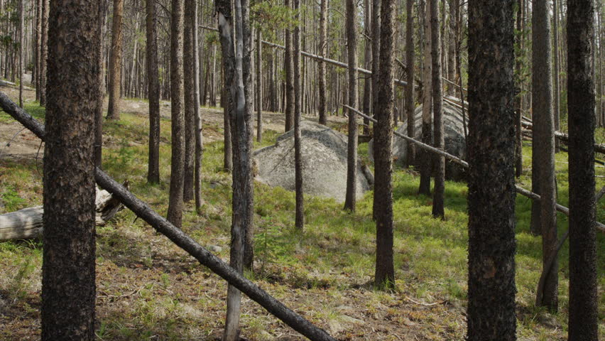 Slow Motion Medium Shot of Stock Footage Video (100% Royalty-free ...