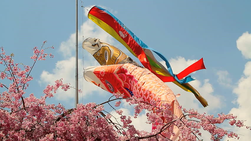 carp kite flying koinobori Stock Footage Video (100% Royalty-free ...
