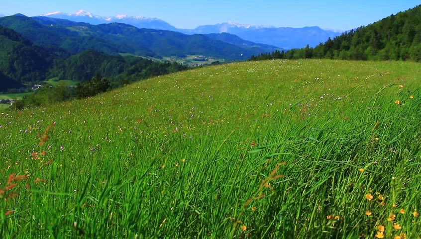 mountains pasture beautiful nature spring Stock Footage Video (100% ...