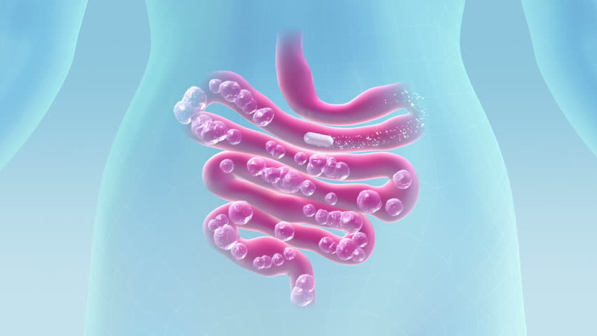 cure flatulence quality animation animated pill Stock Footage Video ...