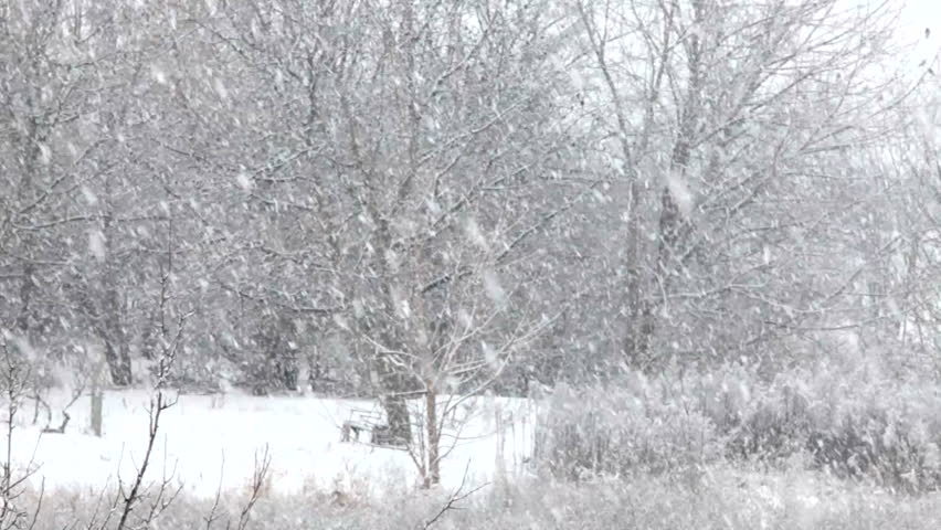 falling snow winter Stock Footage Video (100% Royalty-free) 628810 ...