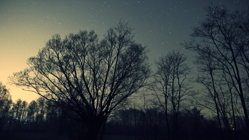 beautiful night sky moving stars during Stock Footage Video (100% ...