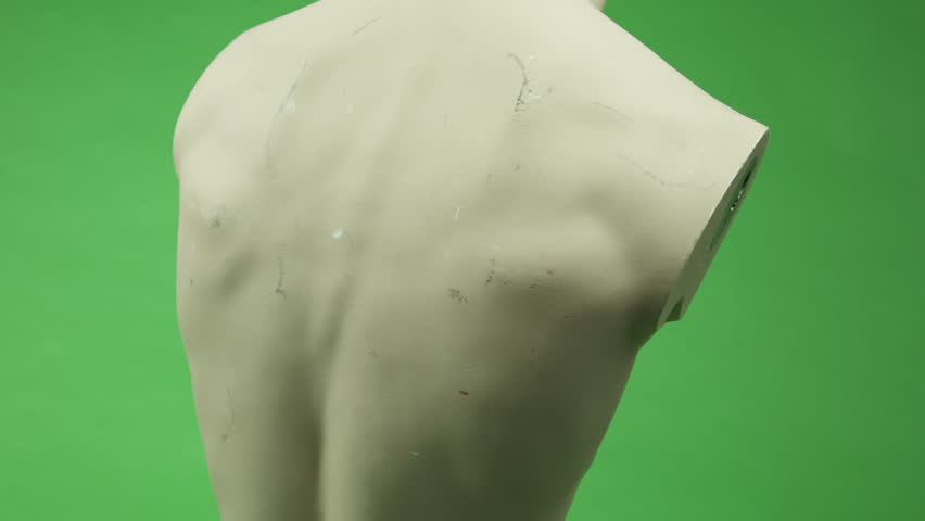 Male Torso Isolated On Chroma Stock Footage Video (100% Royalty-free ...
