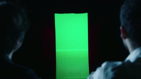 149 Greenscreen Audience Stock Video Footage - 4K and HD Video Clips ...