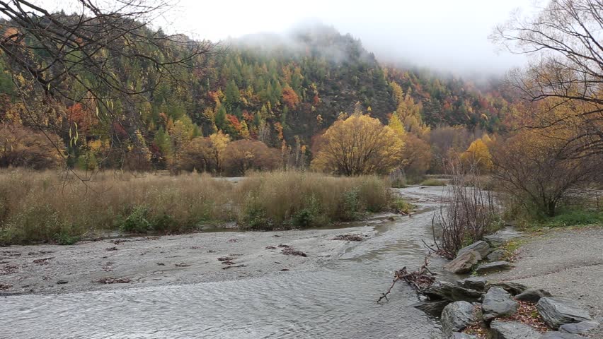 arrow river autumn arrowtown historic gold Stock Footage Video (100% ...