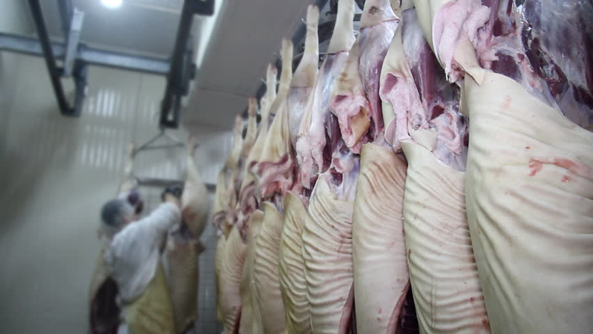 Butcher Working in the Slaughterhouse, Stock Footage Video (100% ...