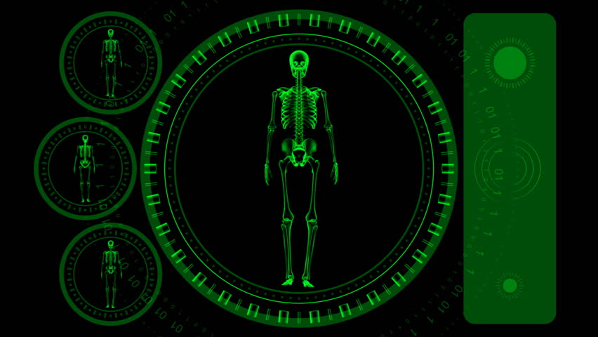 Skeleton Scan Screen - Hi-tech Stock Footage Video (100% Royalty-free ...