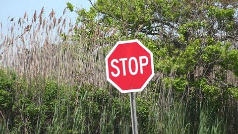 Stop Sign Against Green Forest Trail Stock Photo 716310436 | Shutterstock