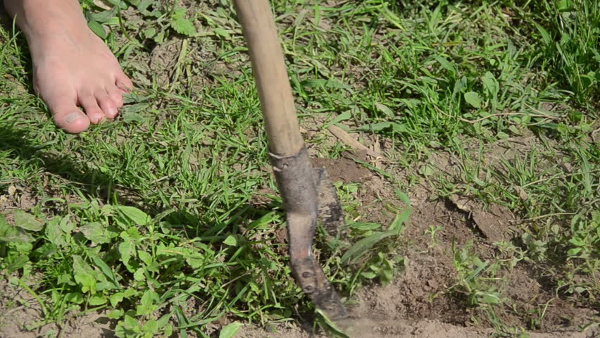 closeup barefoot female farmer yellow dress Stock Footage Video (100% ...