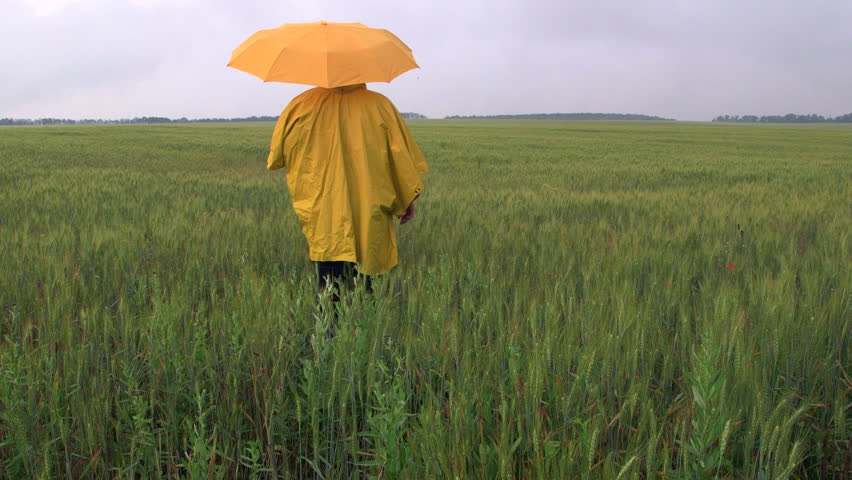 Farmer Standing Under an Umbrella Stock Footage Video (100% Royalty ...