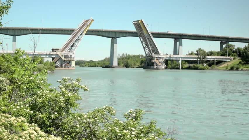 time lapse closing homer double leaf Stock Footage Video (100% Royalty ...