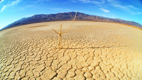 Barren Definition