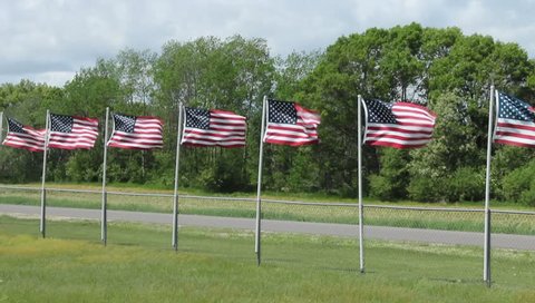 Rows American Flag Waving Wind Stock Photo 1749171620 | Shutterstock