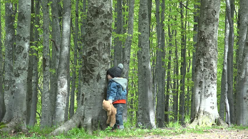 Loving Nature, Sweet Little Boy 스톡 동영상 비디오(100% 로열티프리) 6760540 ...