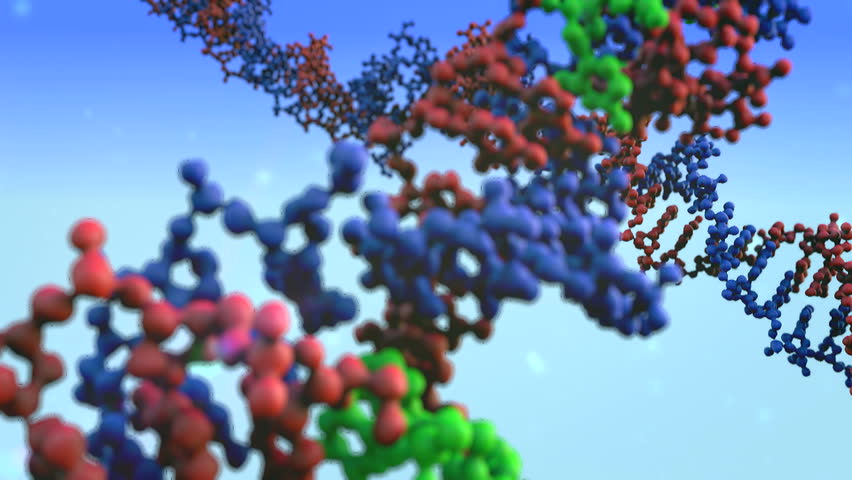 Nucleated Cells Stock Video Footage - 4K and HD Video Clips | Shutterstock