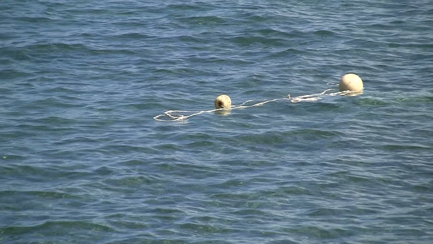 White Buoys Floating On the Stock Footage Video (100% Royalty-free ...