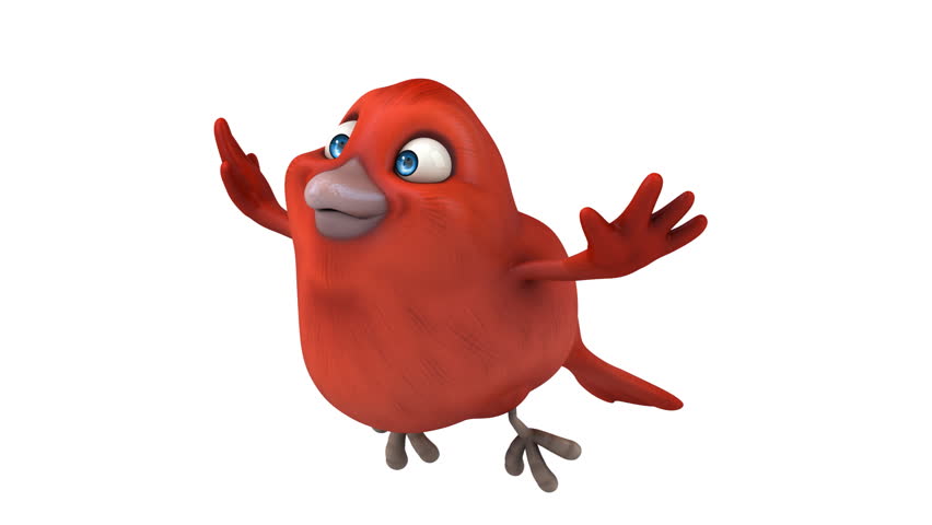 Cartoon Red Robin Bird Stock Video Footage - 4K and HD Video Clips ...