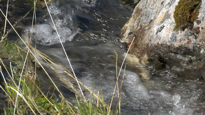 Stream Course, Rippling Water. Native Stock Footage Video (100% Royalty ...