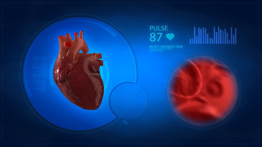 Medical Display - Human Heart Stock Footage Video (100% Royalty-free ...