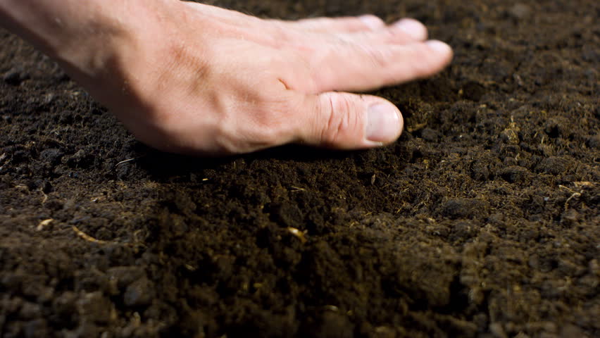 Hand with Soil 4k Stock Footage Video (100% Royalty-free) 6914827 ...