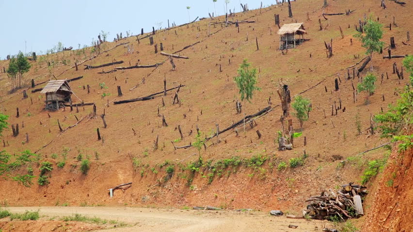 Deforestation in Laos, Cutting Rainforest, Stock Footage Video (100% ...
