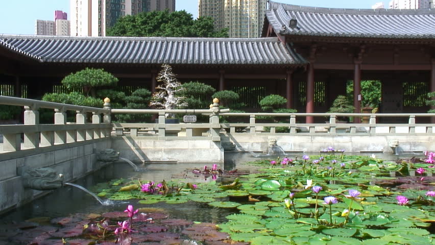 Chinese Temple Garden and Lotus Stock Footage Video (100% Royalty-free ...