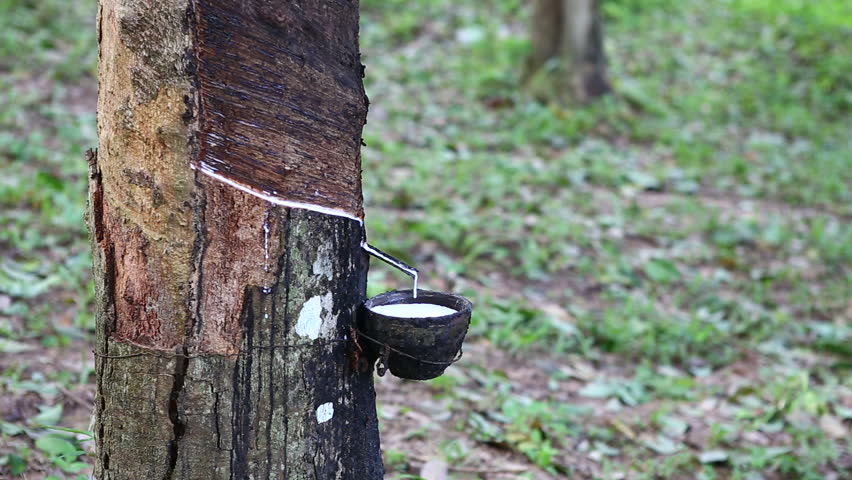 Transform Process of Rubber Industry Stock Footage Video (100% Royalty ...