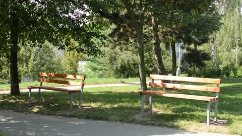 Wooden Park Bench Park Stock Photo 124363219 | Shutterstock