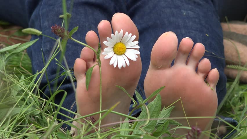 lady soles white daisy flower between Stock Footage Video (100% Royalty ...
