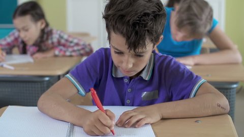 Young Boy Taking Notes Class School Stock Photo 310987217 | Shutterstock