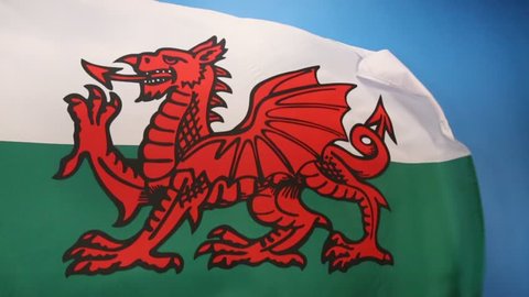 Welsh Red Dragon Y Ddraig Goch Stock Vector (Royalty Free) 429812071 ...