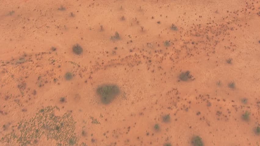 Sparse Trees Dotting the Desert Stock Footage Video (100% Royalty-free ...