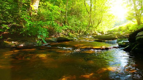 Mountain Stream Forest 4k Full Hd Stock Footage Video (100% Royalty ...