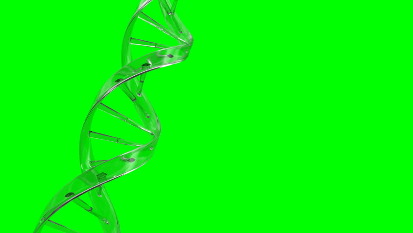 rotating dna strand 3d animation loop Stock Footage Video (100% Royalty ...