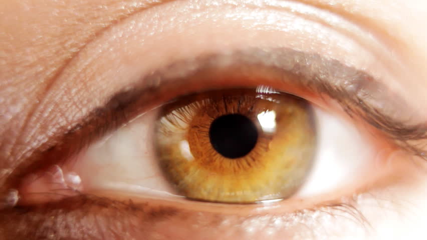 Close-up Shot of an Eye Stock Footage Video (100% Royalty-free) 730738 ...