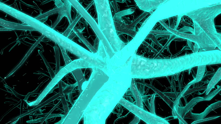 Brain Cells Close Nerve Cells Stock Footage Video (100% Royalty-free ...