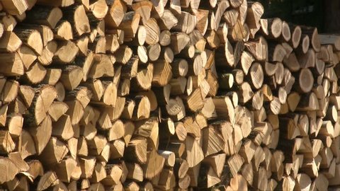 Pan Log Ends Bark Year Rings Stock Footage Video (100% Royalty-free ...