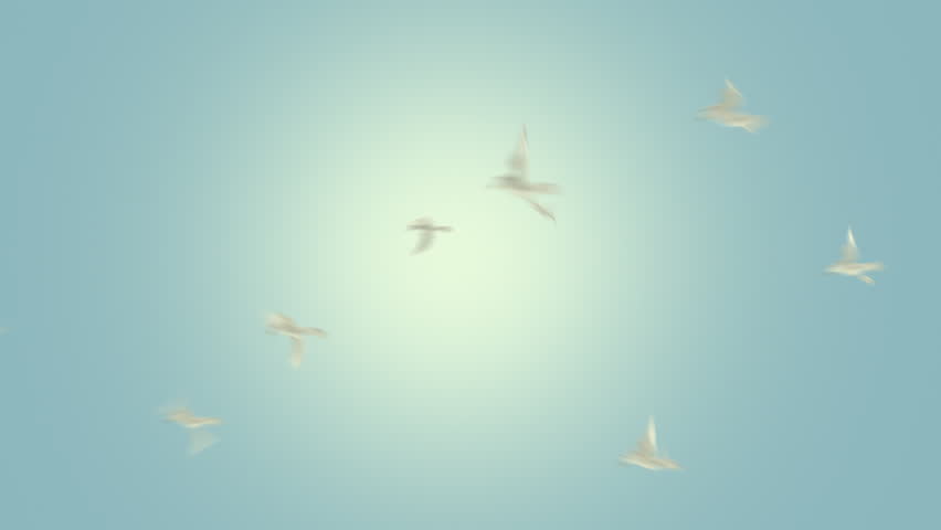 Birds Flying Loop with Alpha Stock Footage Video (100% Royalty-free ...