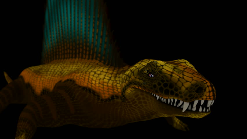 Dimetrodon image - Free stock photo - Public Domain photo - CC0 Images