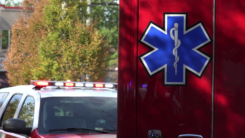 1 Bls logo Stock Video Footage - 4K and HD Video Clips | Shutterstock